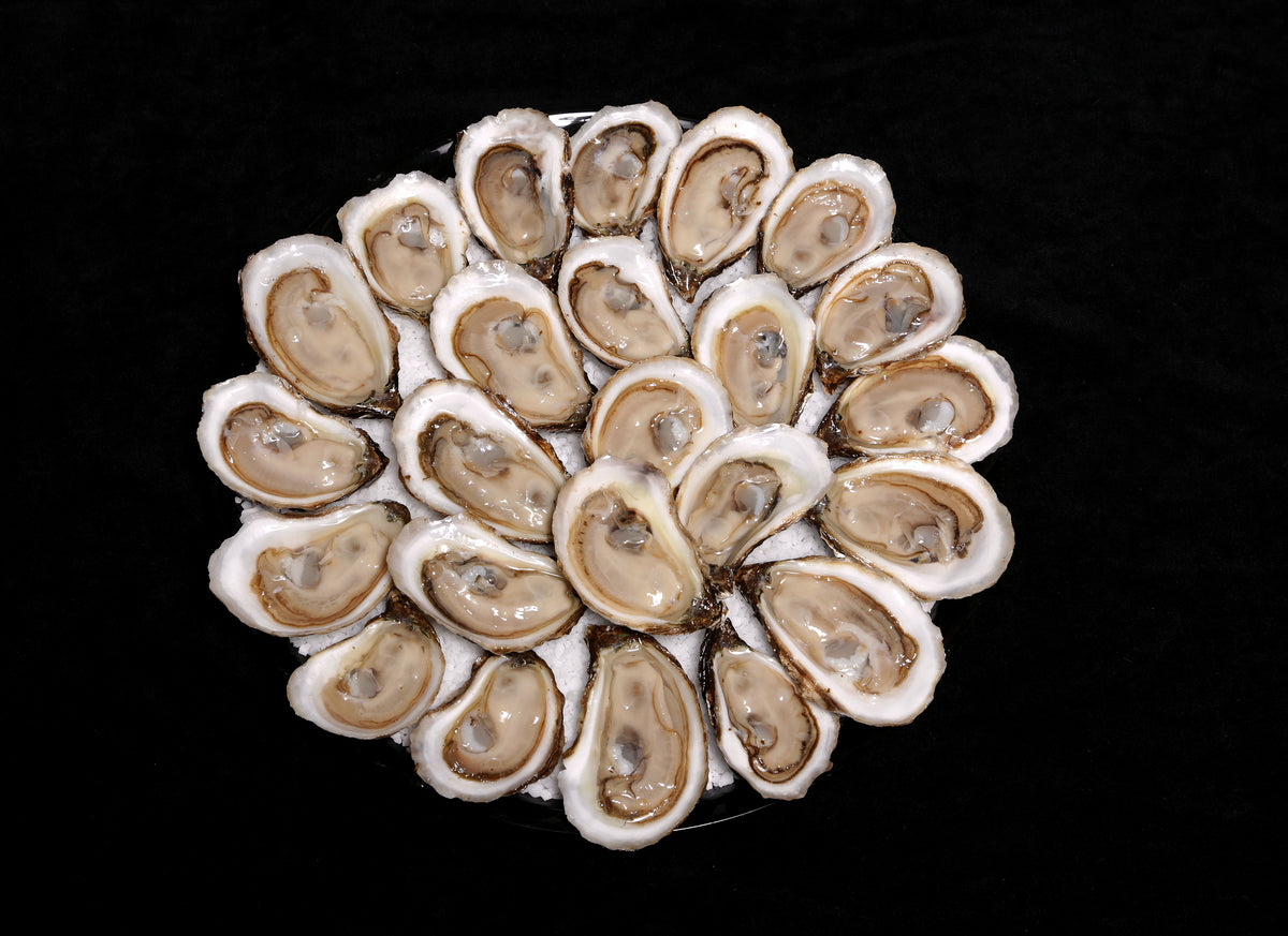 Huitres «Raspberry Point» | Oysters In Motion™